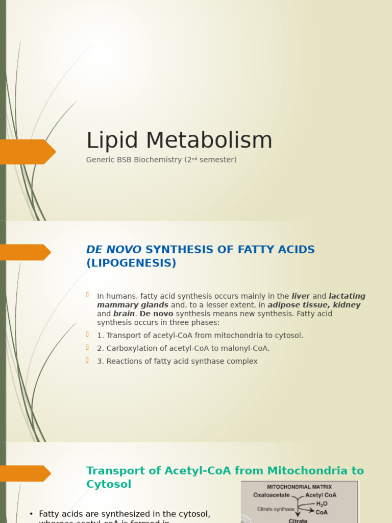 Lipid Metabolism 1 | PDF