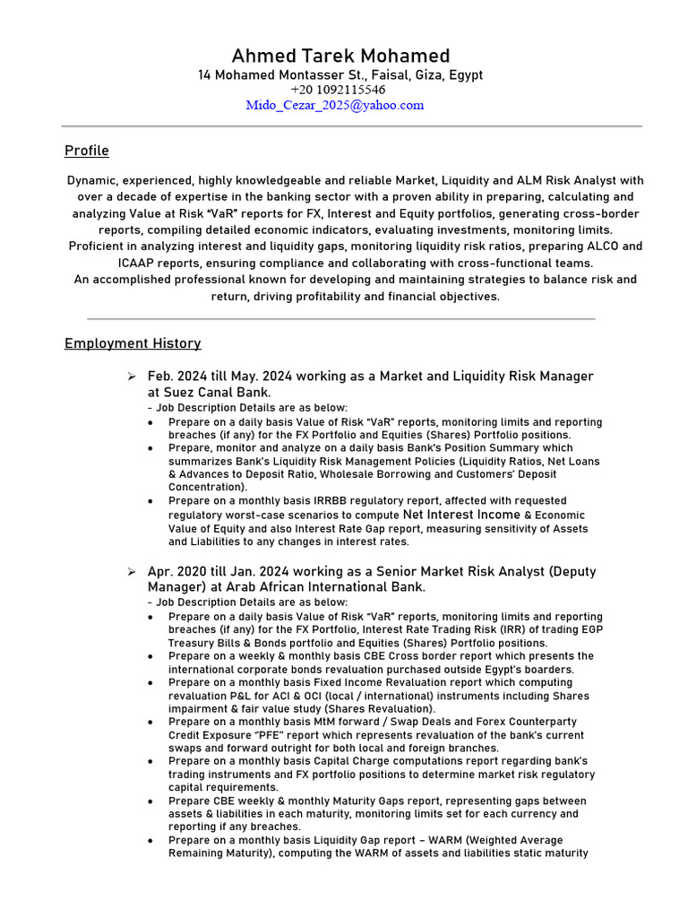 Ahmed Tarek's Curriculum Vitae | PDF