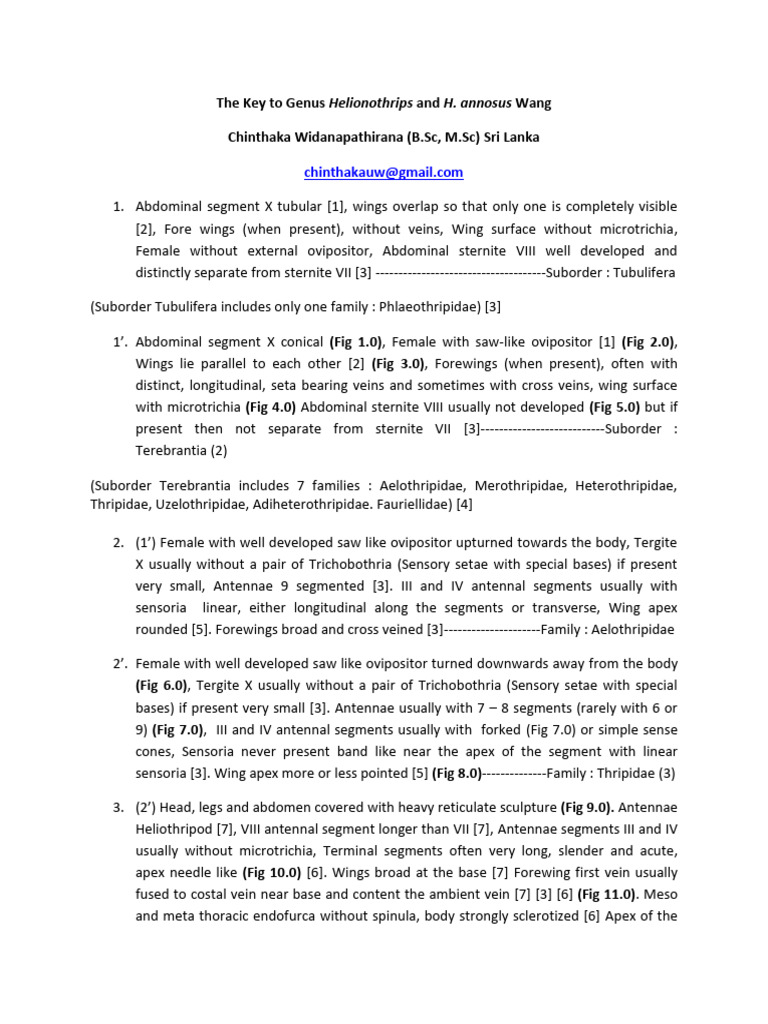 Morphological Identification Taxonomy Key For Helionothrips Annosus ...