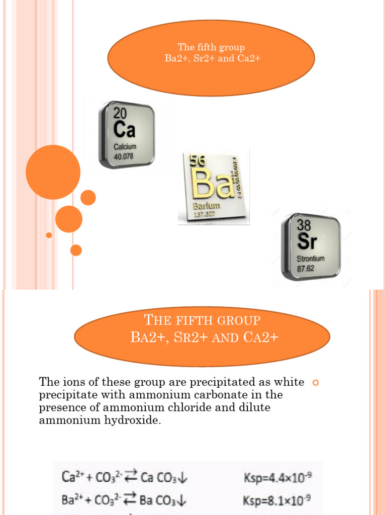 Fifth Group | PDF