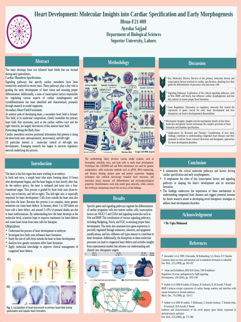 DR Uqba | PDF