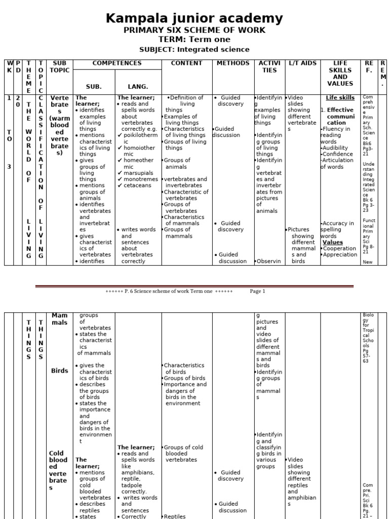 p6 Science Scheme | PDF