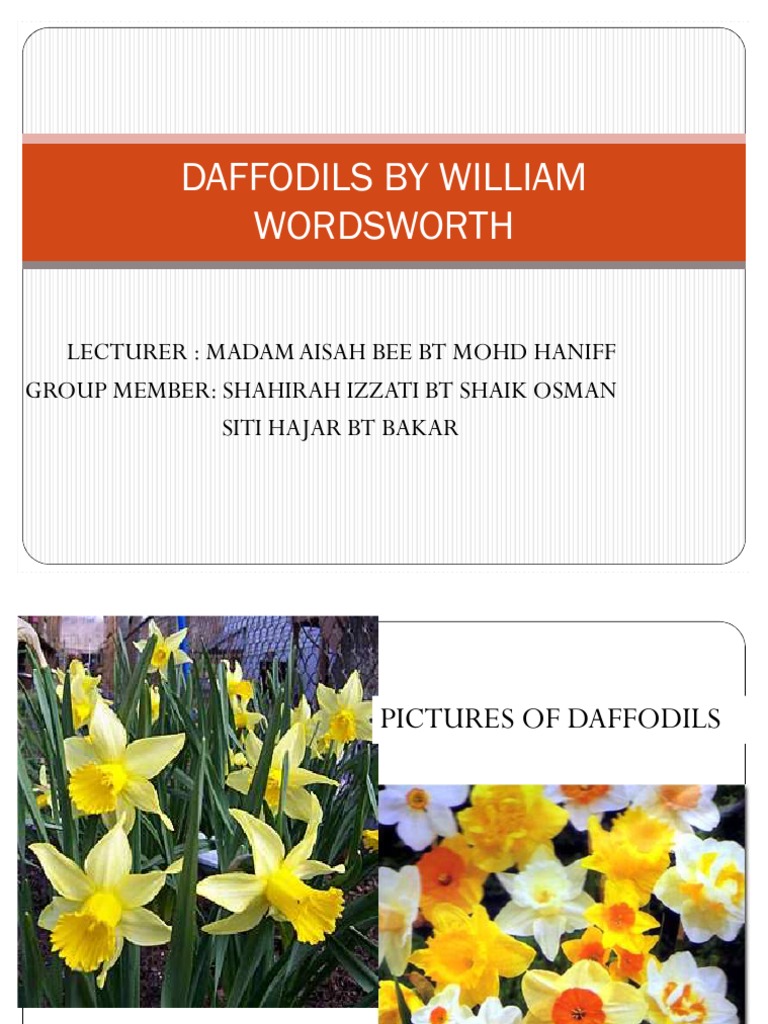 Daffodils by William Words Worth | PDF