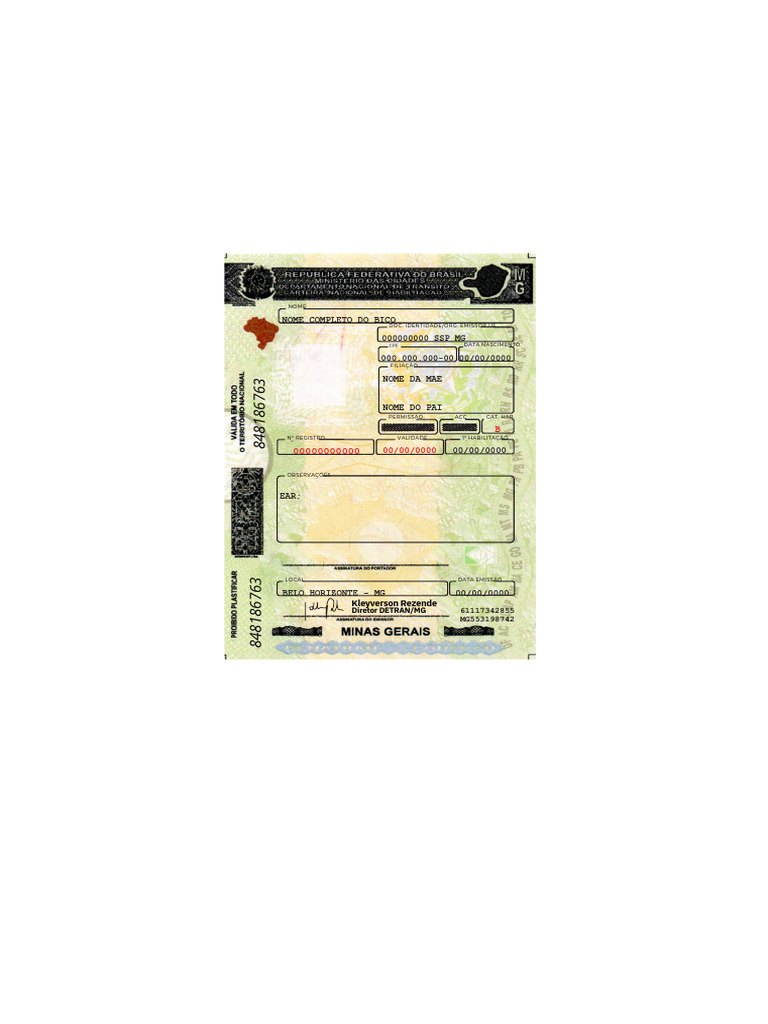 CNH Nova Minas Gerais | PDF