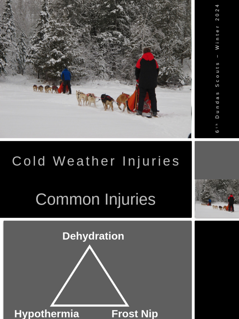 Cold Weather Injuries | PDF
