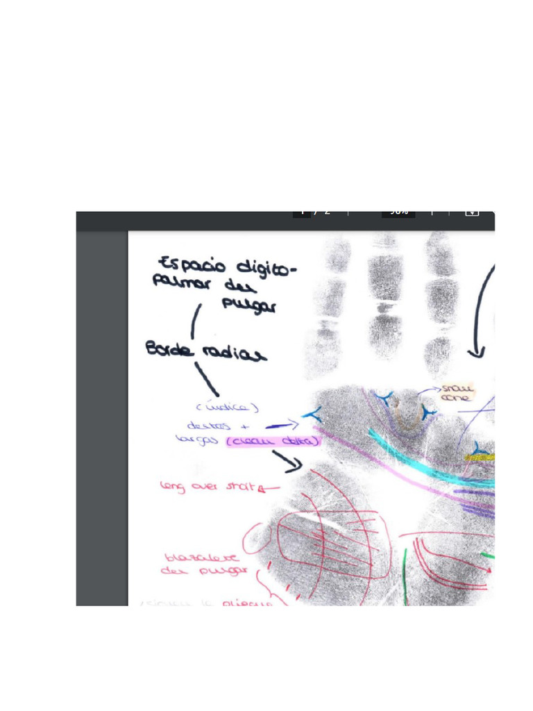 ejemplos de tarea quiroscopia | PDF