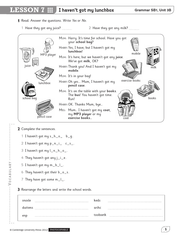 YSPCM1 Learner Support Lesson7 | PDF