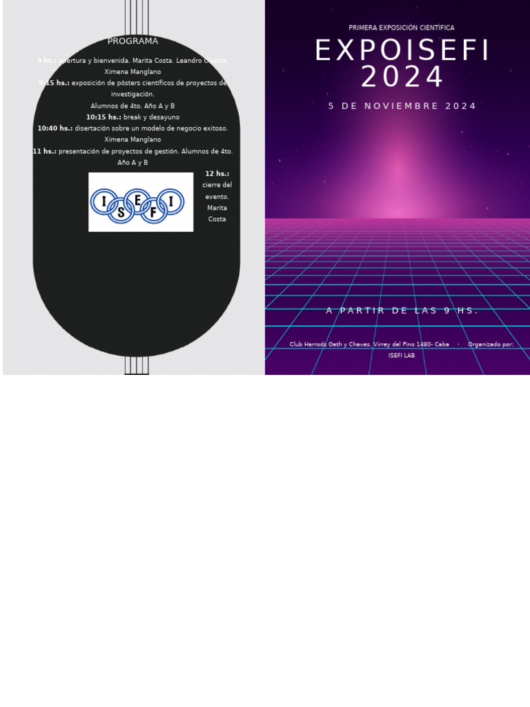 Borrador 1 Programa ISEFI | PDF