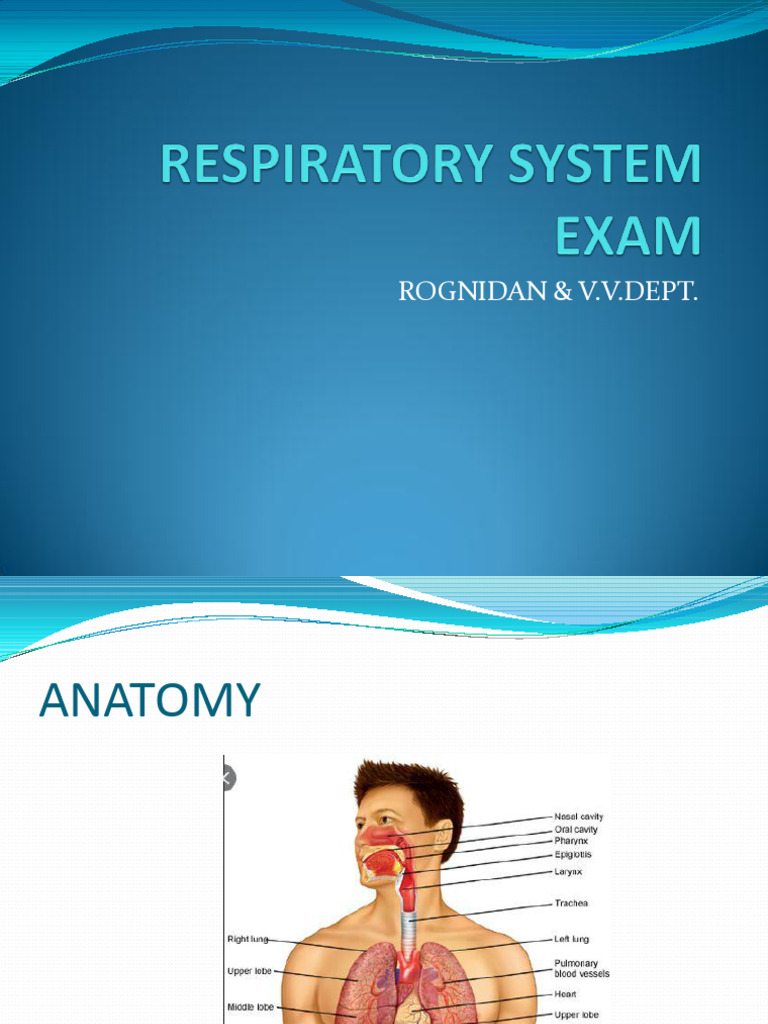 Rognidan & V.V.Dept | PDF