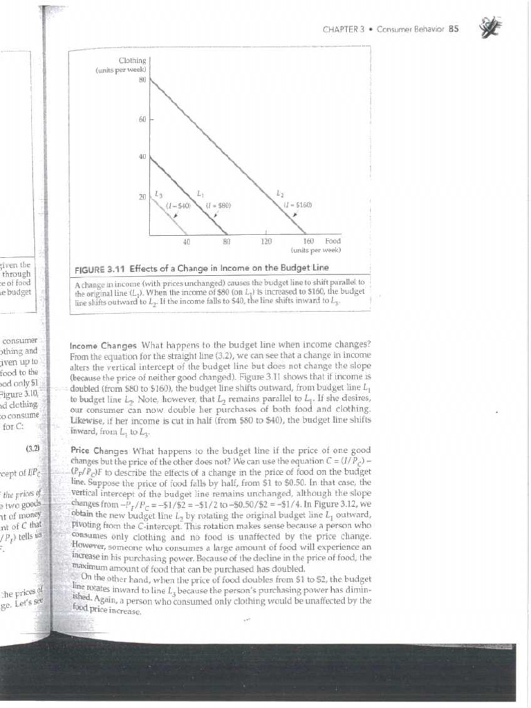 Budget Lines | PDF