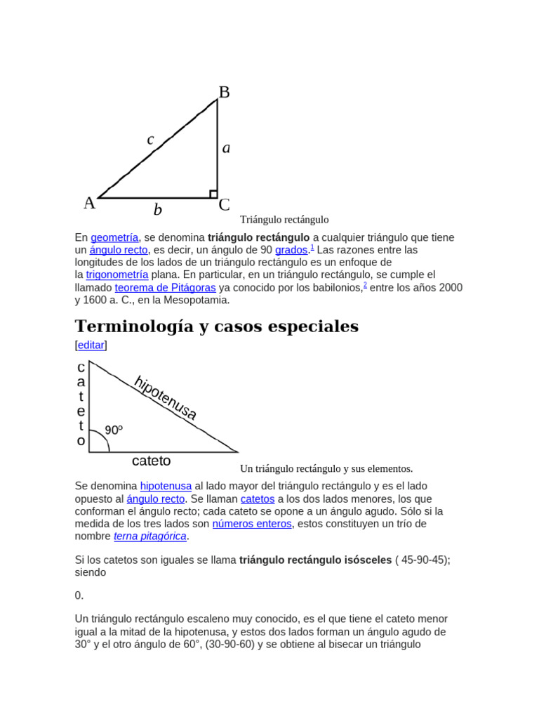 Triángulo Rectángulo Noveno A | PDF | Triángulo | Arte