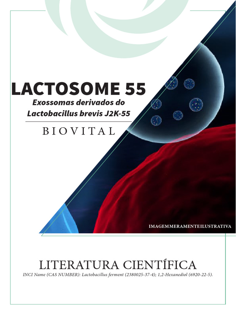 Lactosome 55 | PDF