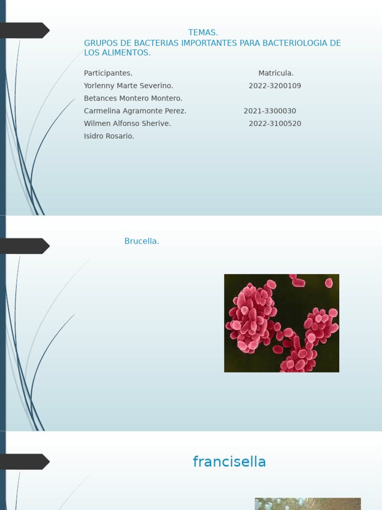 Bacteria Betance | PDF