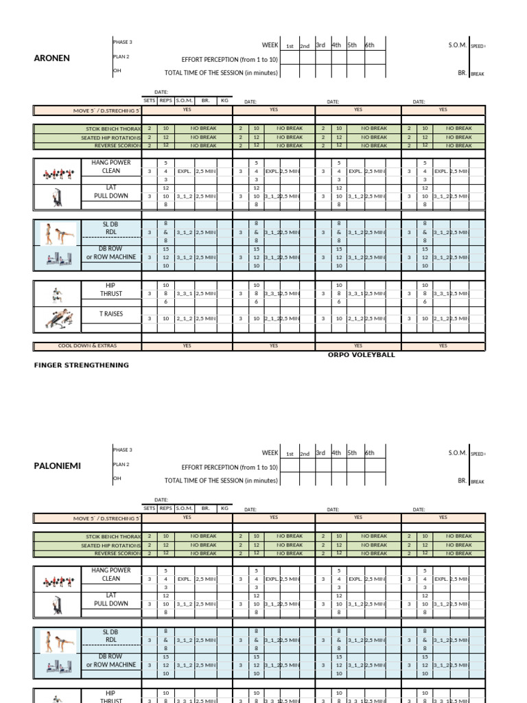 Orpo Plan 2 Phase 3 | PDF