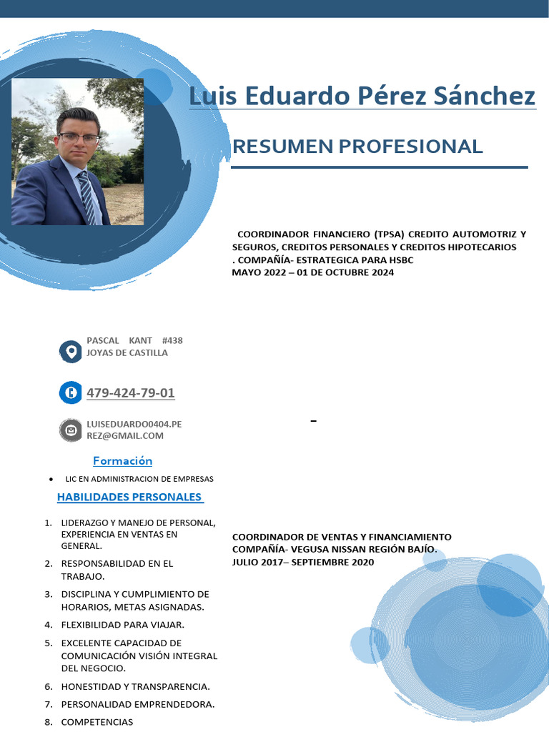 CV Luis Perez 2024 | PDF