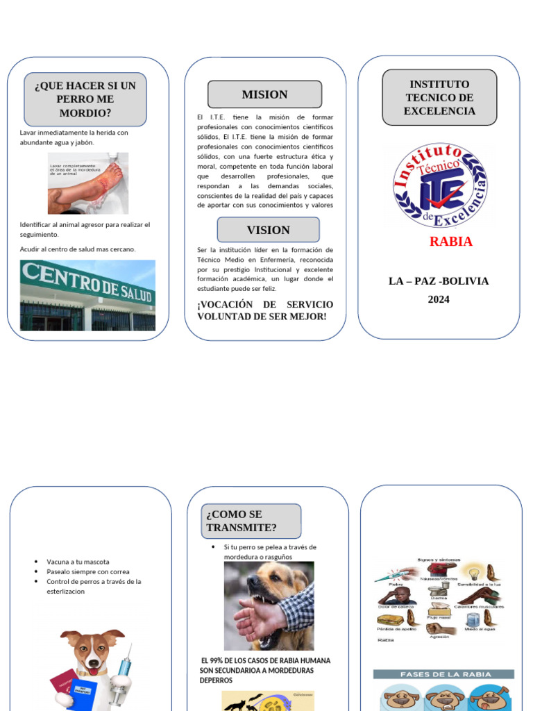Triptico Rabiaa | PDF