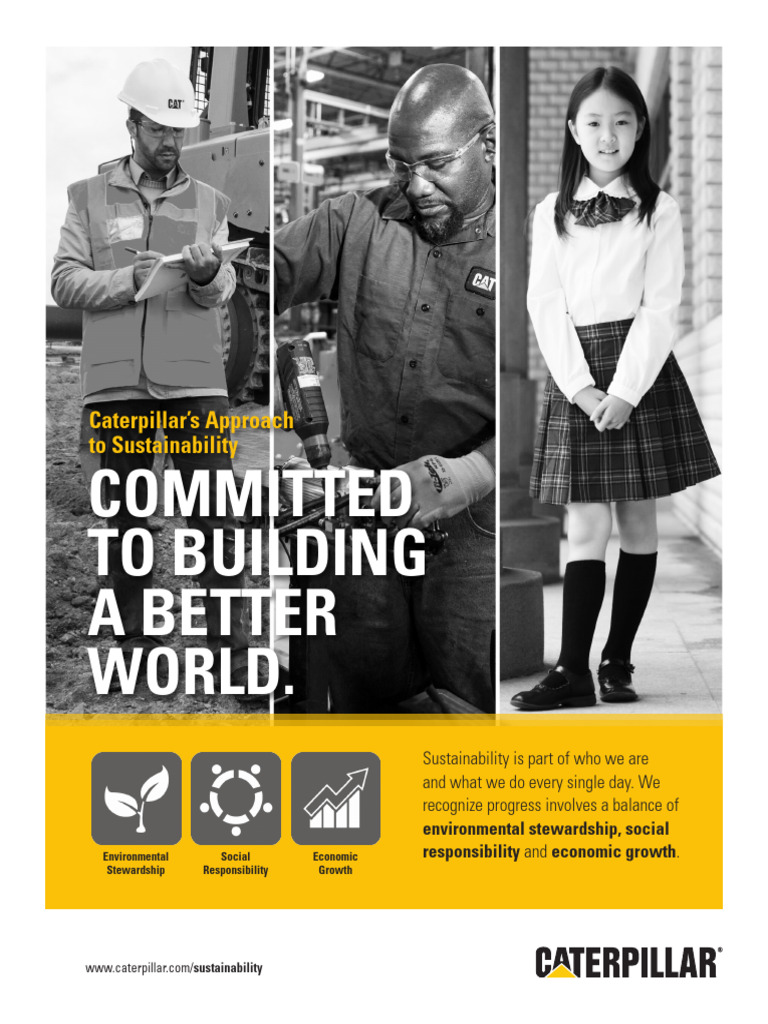 Cat Sustainability | PDF