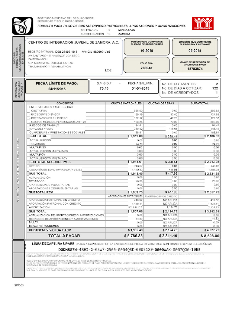 Formato para El Pago de Cuotas Imss | PDF