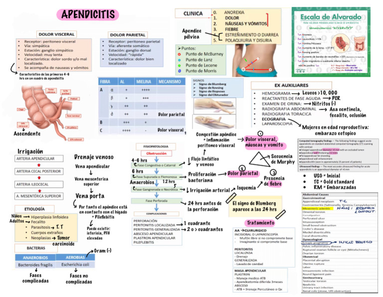 Apendicitis | PDF