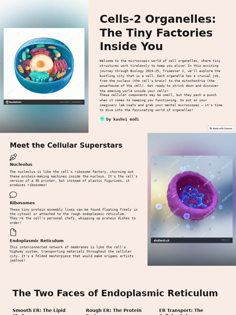 Cells 1 Organelles The Tiny Factories Inside You | PDF