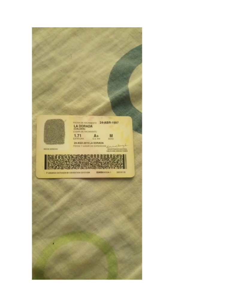 Documento (4) Ipp 4 | PDF