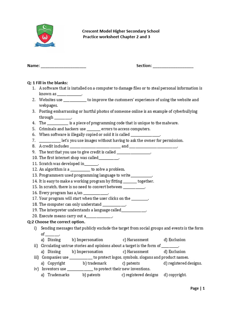Computer Practice Worksheet CHP 2 and 3 | PDF
