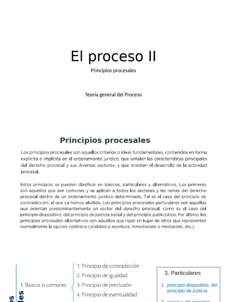 Principios Procesales | PDF