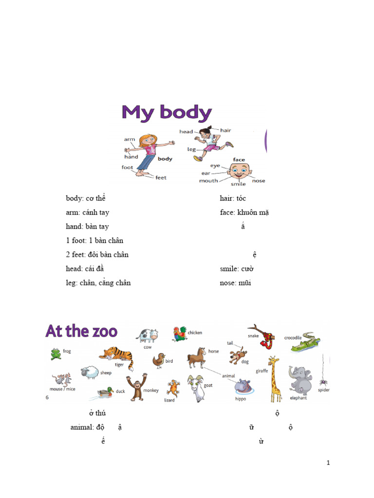 Starters Vocabulary List & Speaking | PDF