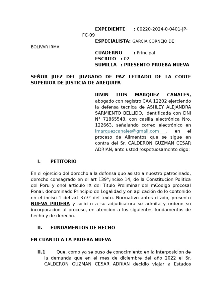 Prueba Nueva Ashley | PDF