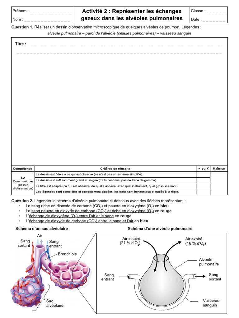 ACT3 Suite Alvéoles Pulm | PDF