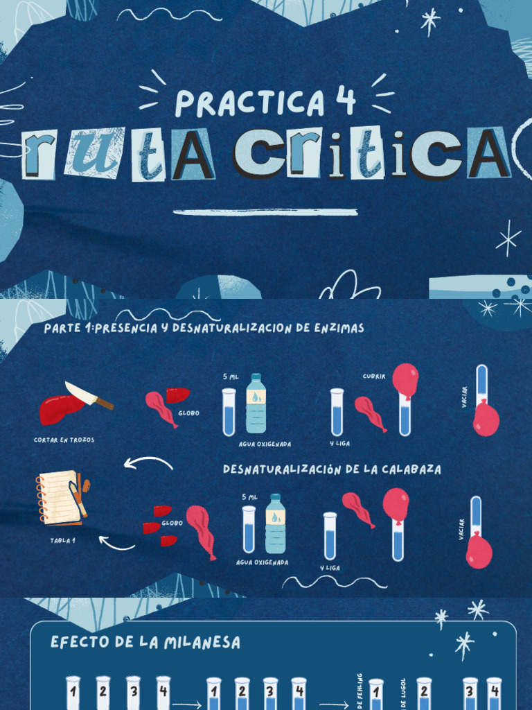 Ruta Critica PDF | PDF