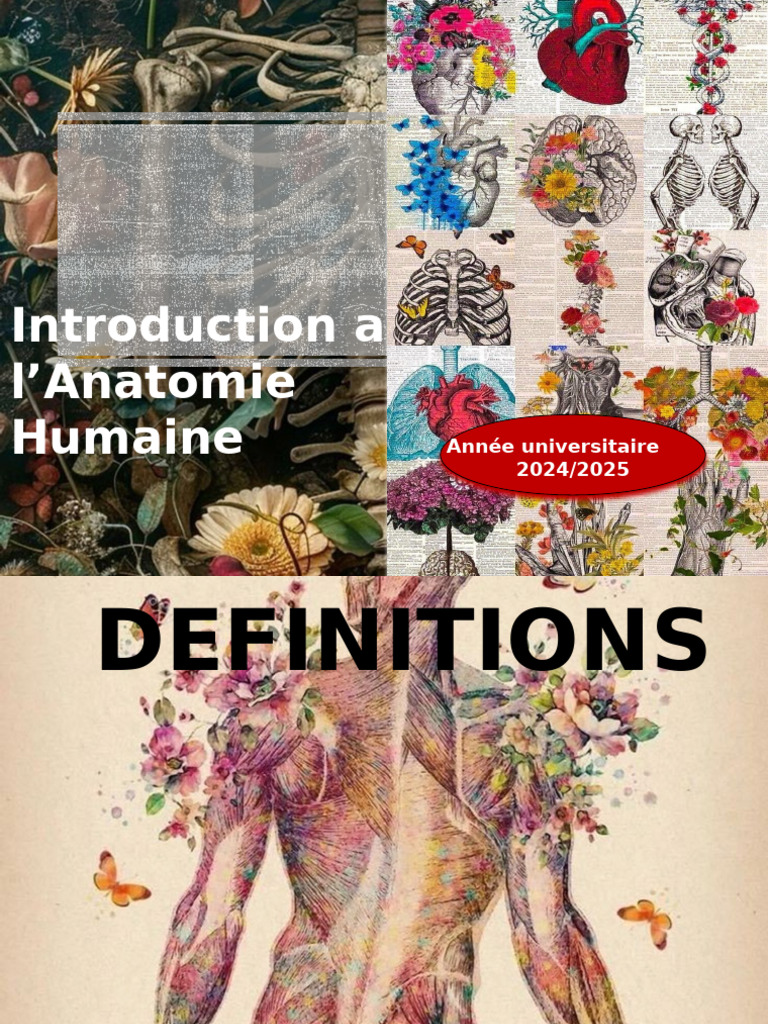 Introduction A L'anatomie Humaine 1ere Annee Pharmacie | PDF