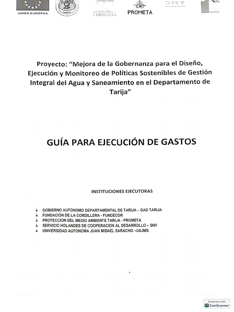 09 Guia para Ejecucion de Gastos | PDF