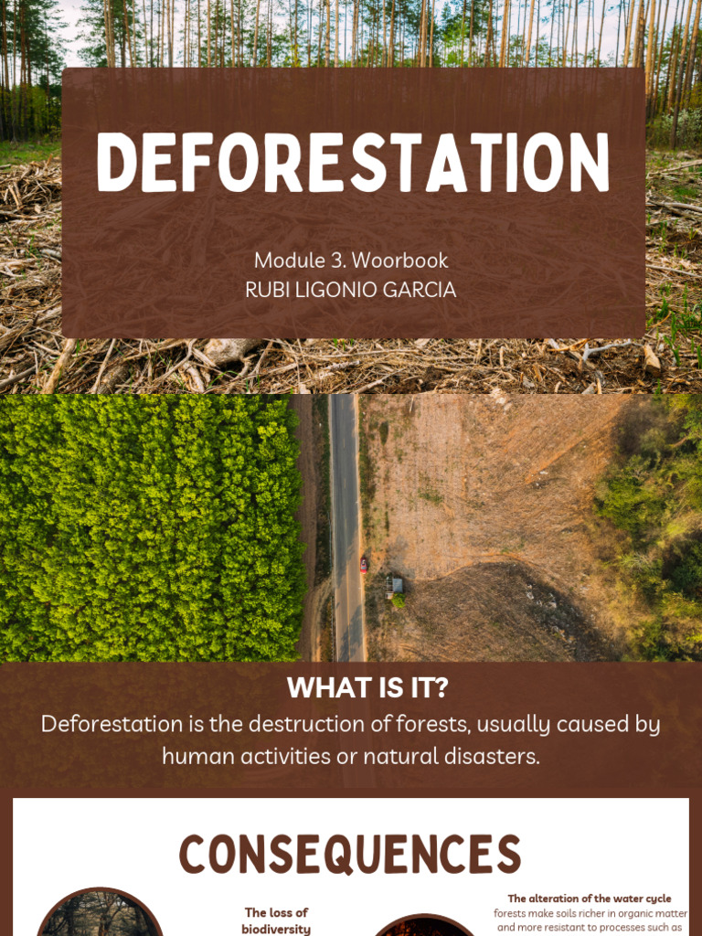 DEFORESTATION | PDF | Ciencia y matemáticas | Tecnología