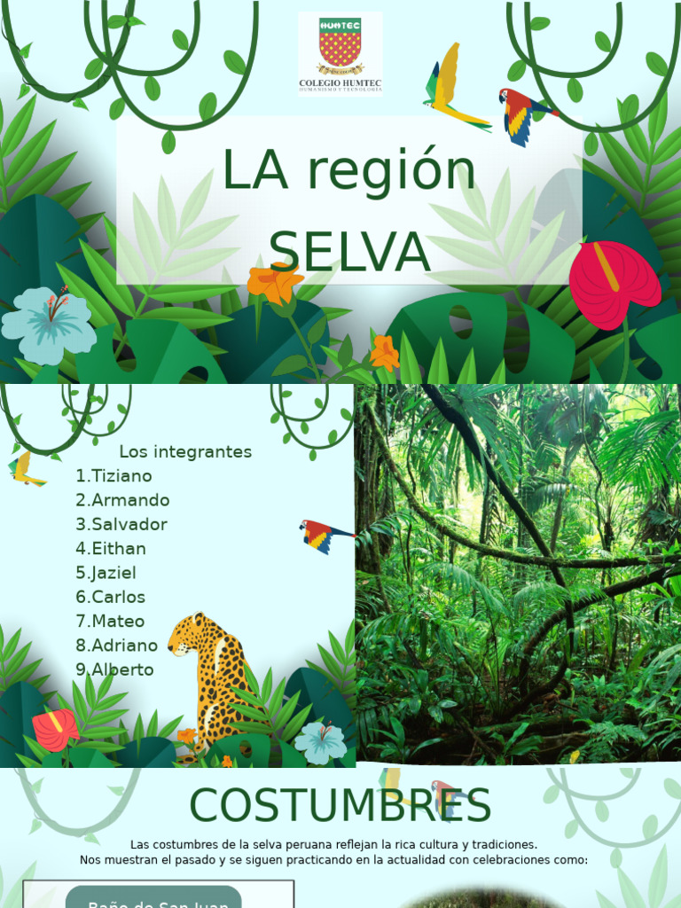 Region Selva | PDF