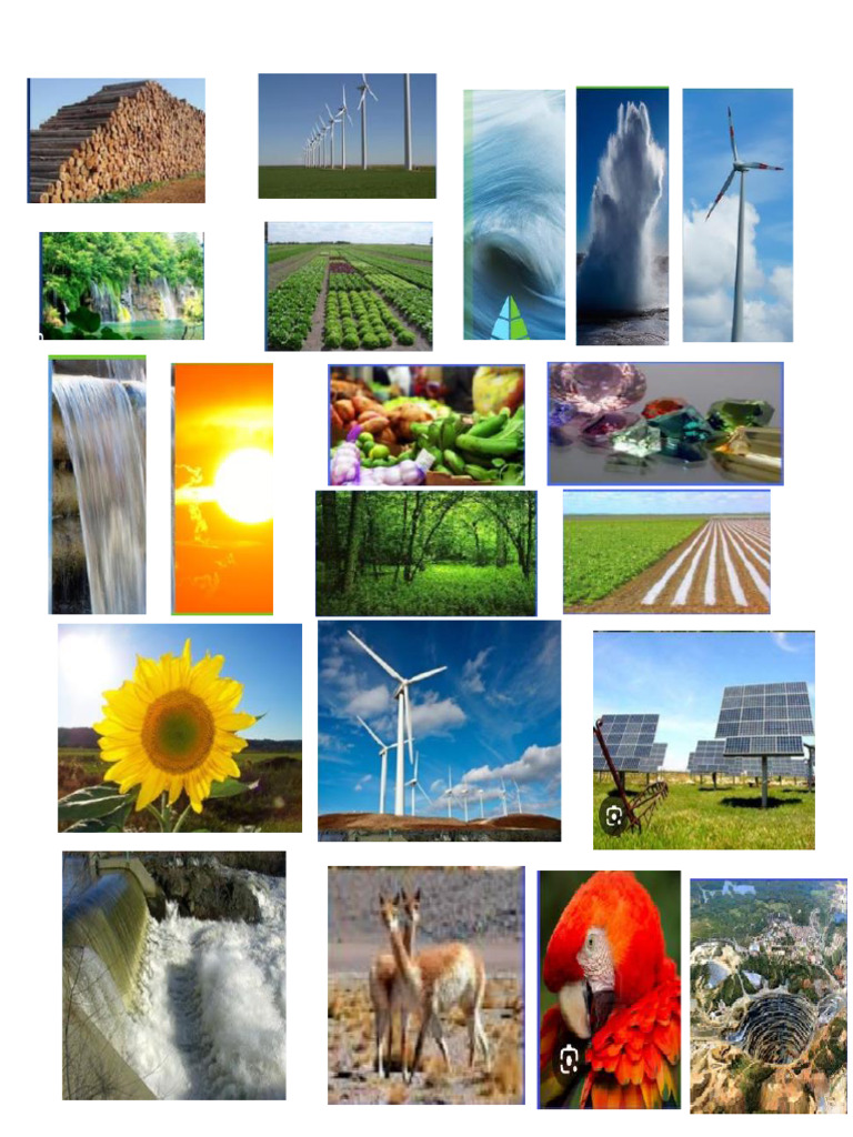 Recursos Renovables | PDF