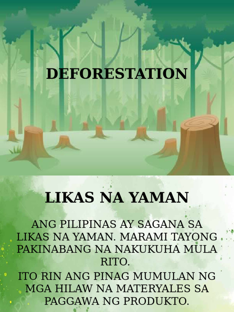 DEFORESTATION | PDF