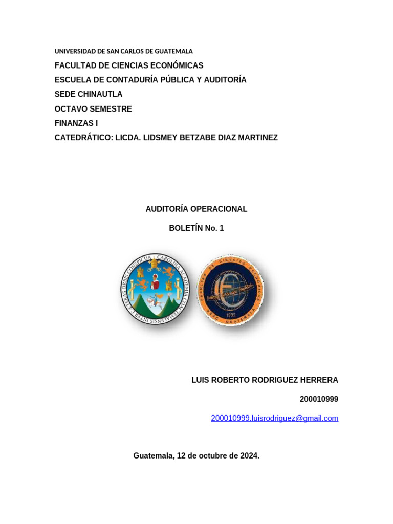 Esquema Básico de La Auditoria Operacional | PDF