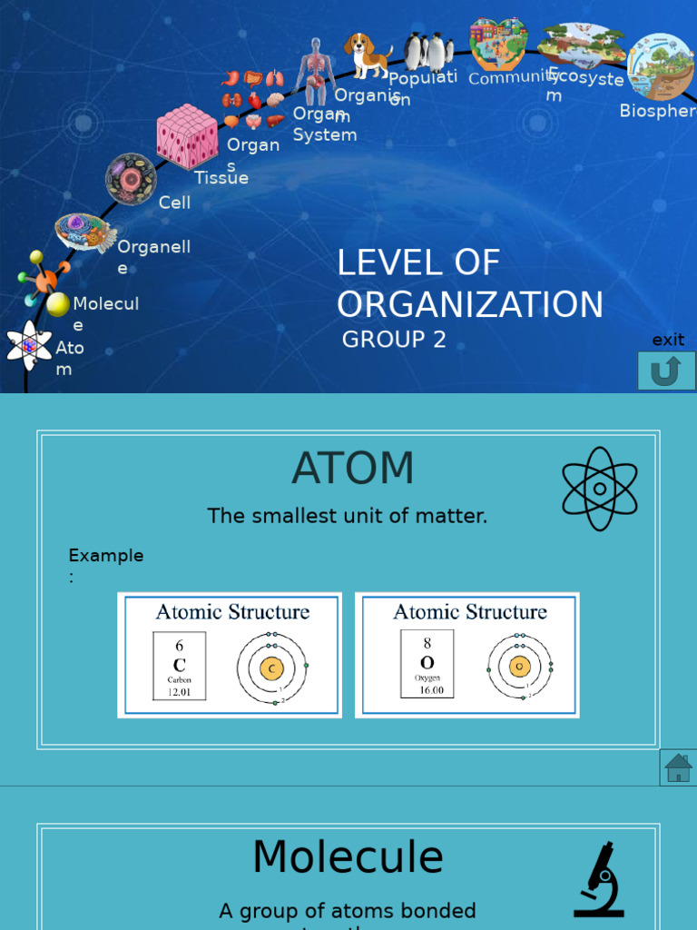 Biology: Levels of Organization | PDF | Science & Mathematics