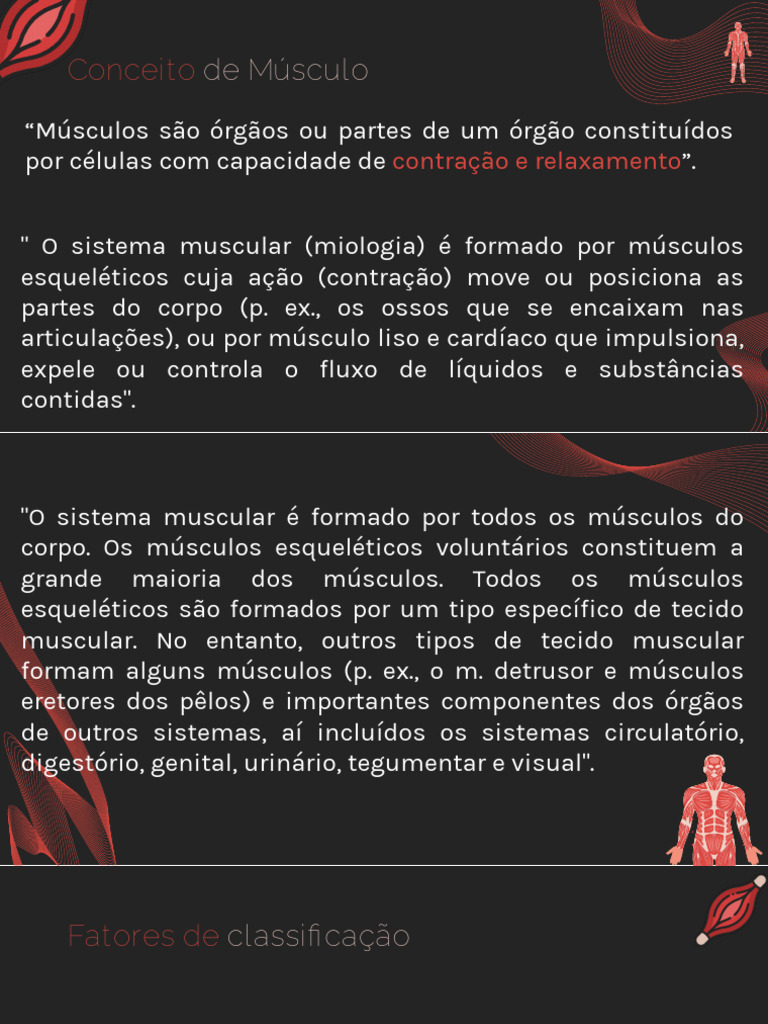 Muscular System 2024 | PDF