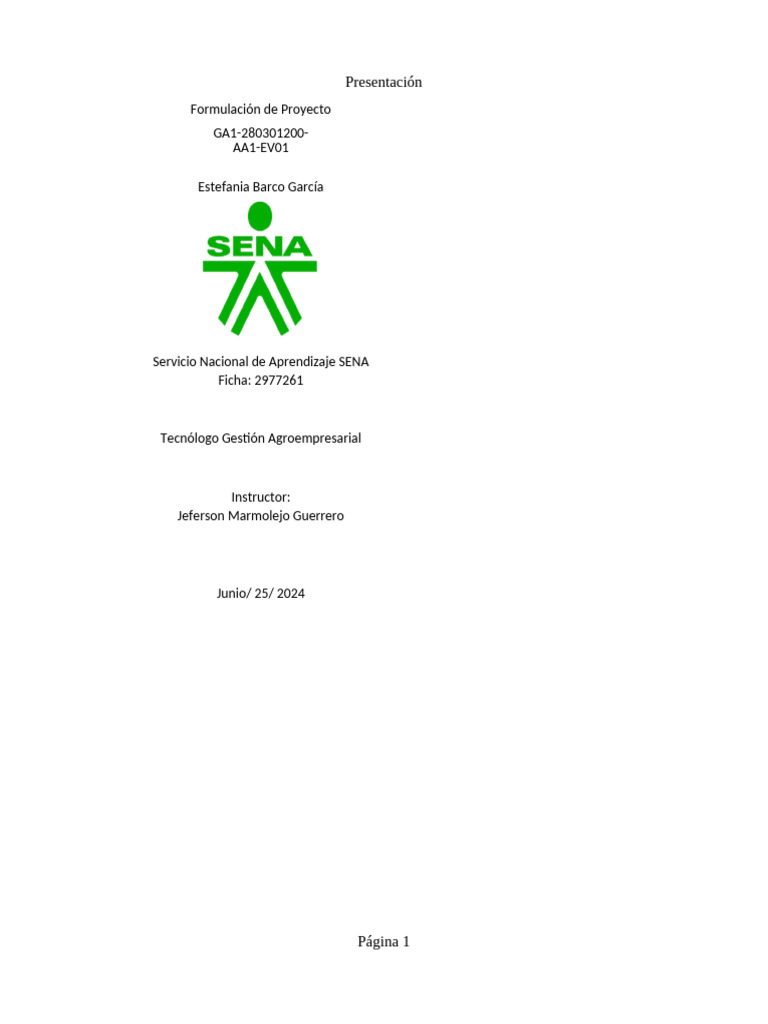 Formulacion De Proyecto Pdf 6322