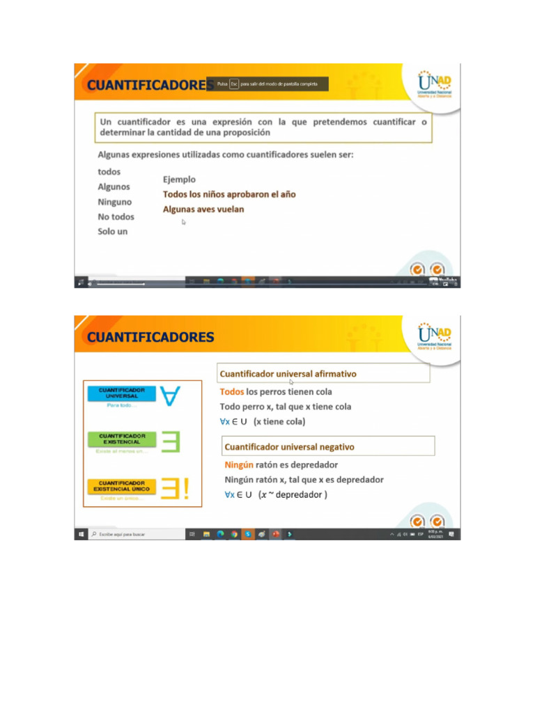 Cuantificadores Guia | PDF