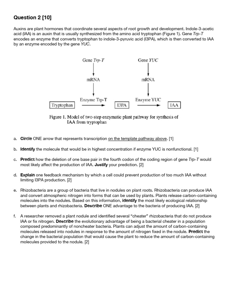 Review FRQs CC | PDF