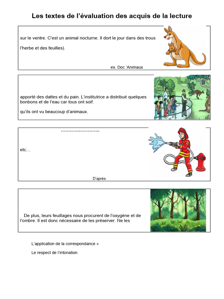 Mostafa Ami - Evaluation Des Acquis de Lecture | PDF