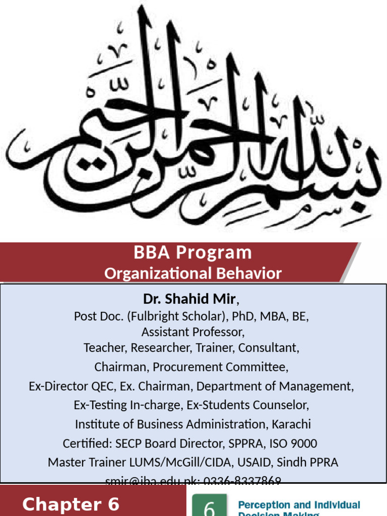 Chapter 6 Perception and Individual Decision Making | PDF