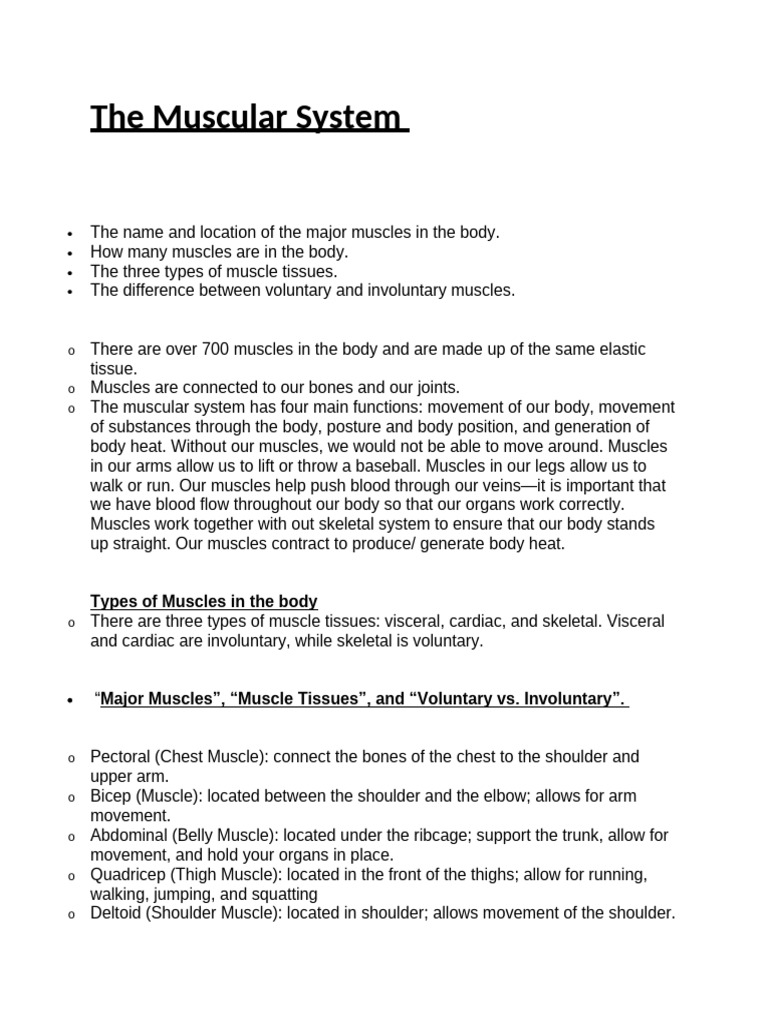 The Muscular System Notes | PDF