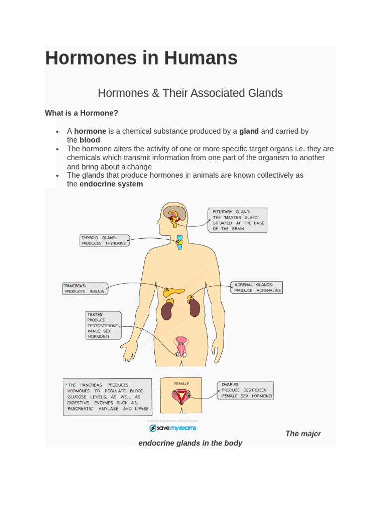 Hormones in Humans Endocrine System | PDF | Hormone | Endocrine System