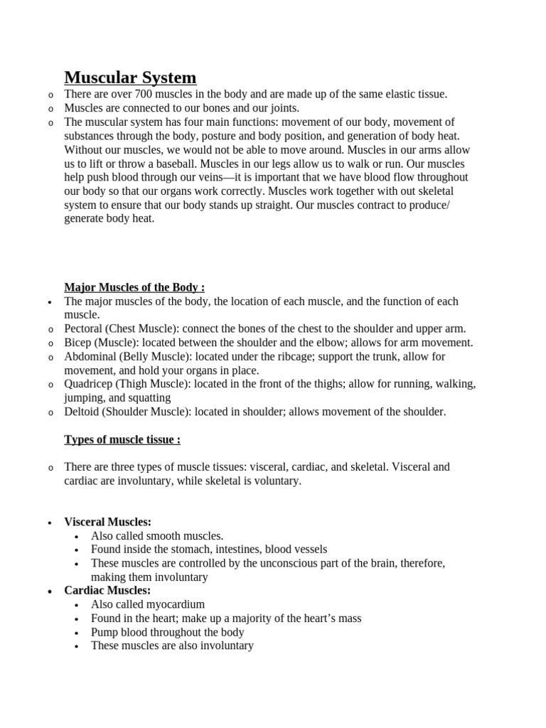 Muscular System Notes | PDF