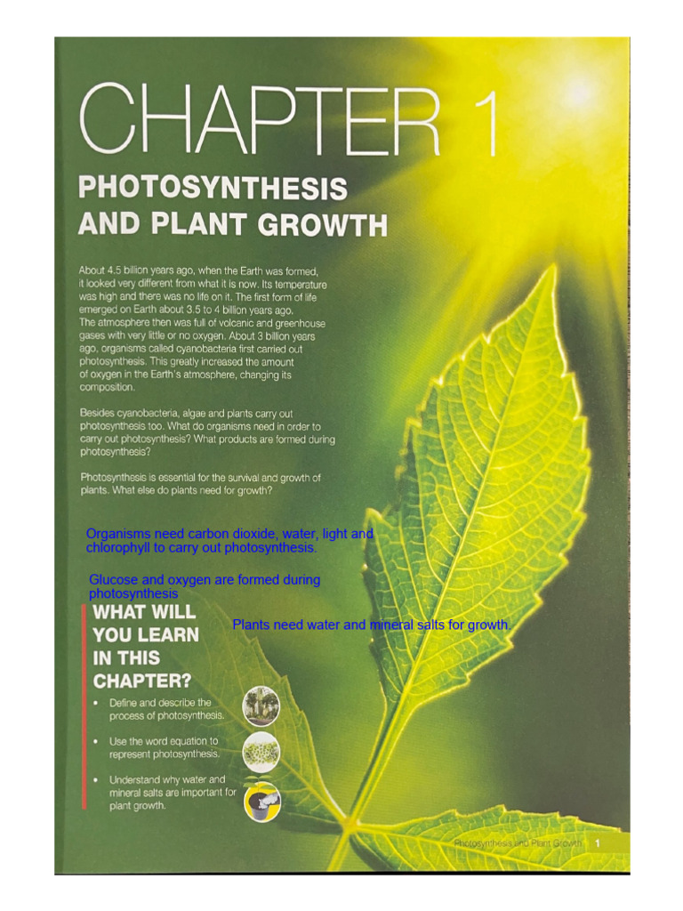 Science Workbook 1 | PDF