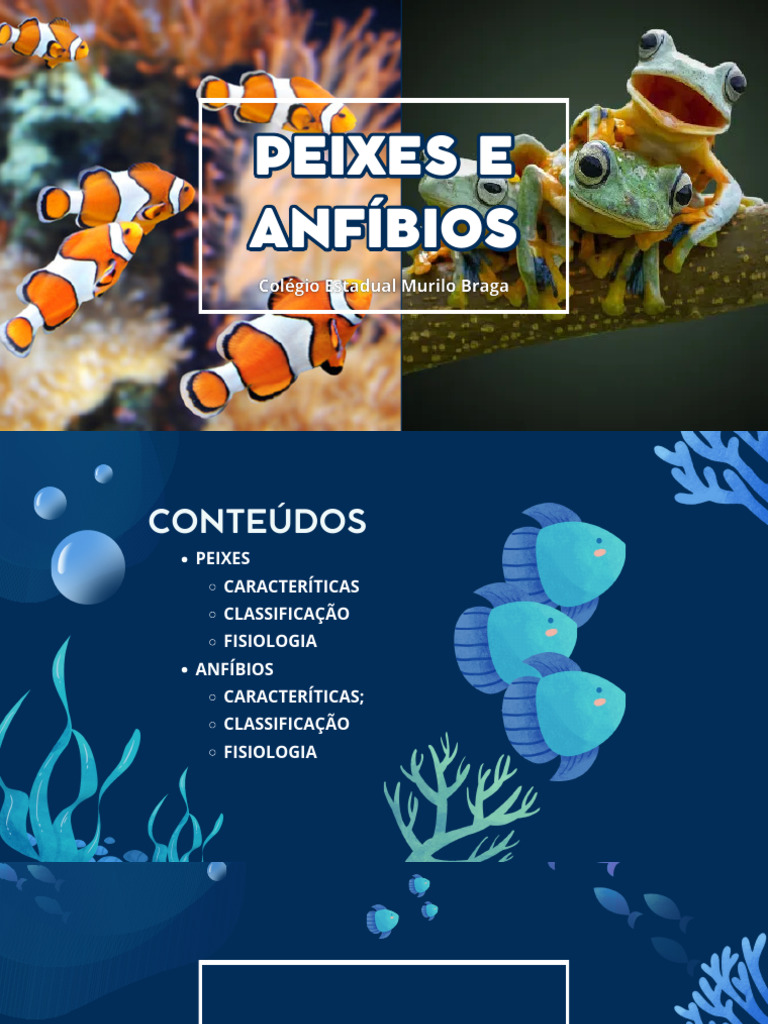 Aula Cemb - Peixes e Anfíbios | PDF